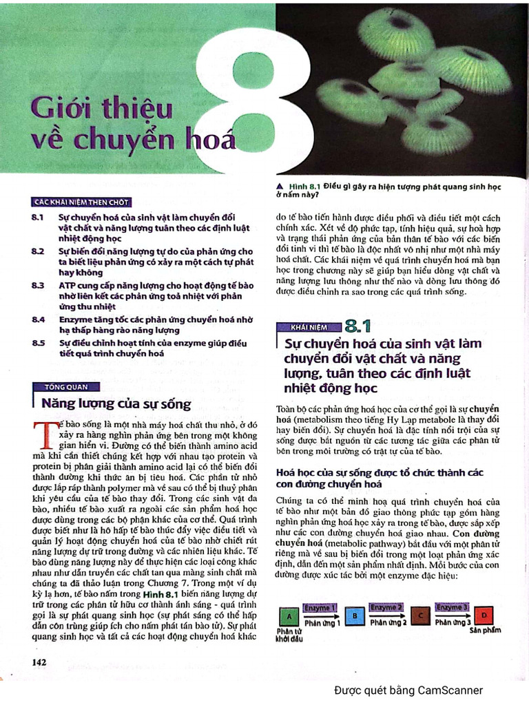 Gioi Thieu Ve Chuyen Hoa | PDF