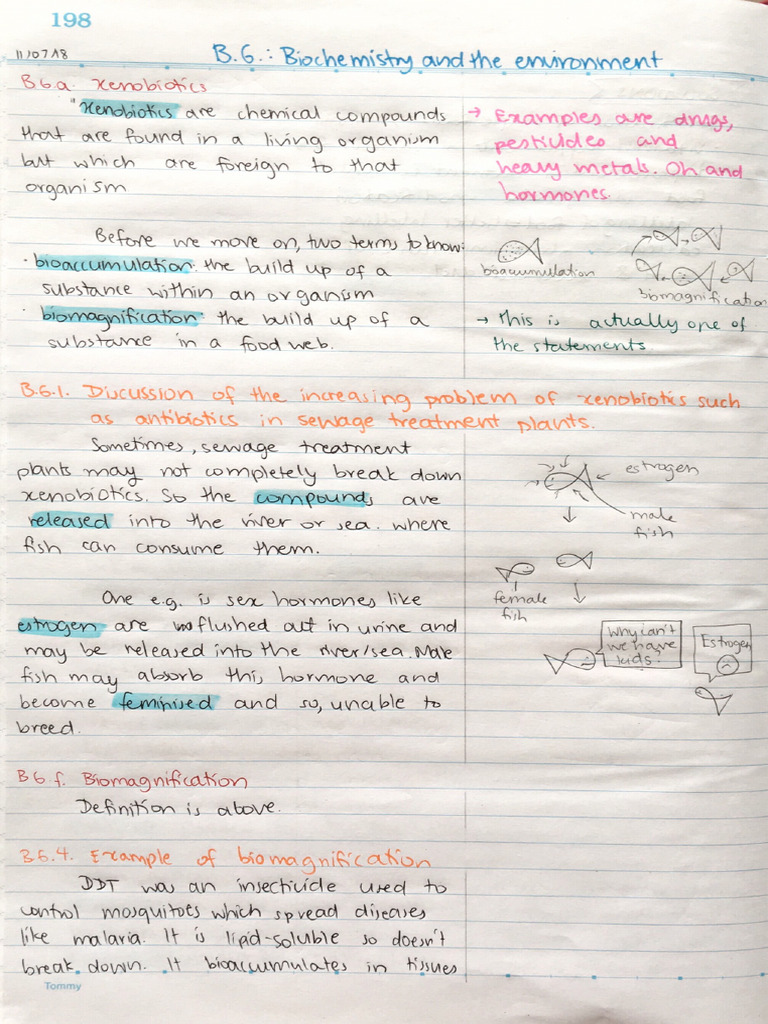 b.6 Biochemistry and The Environment | PDF
