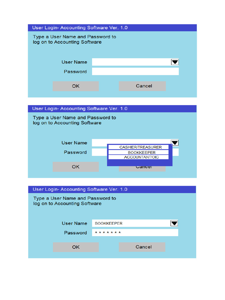 Accounting System Design | PDF