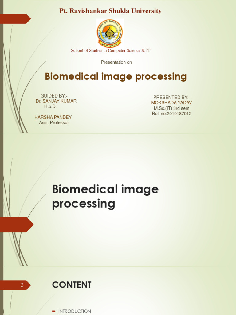 Biomedical Image Processing | PDF | Medical Imaging | Ct Scan