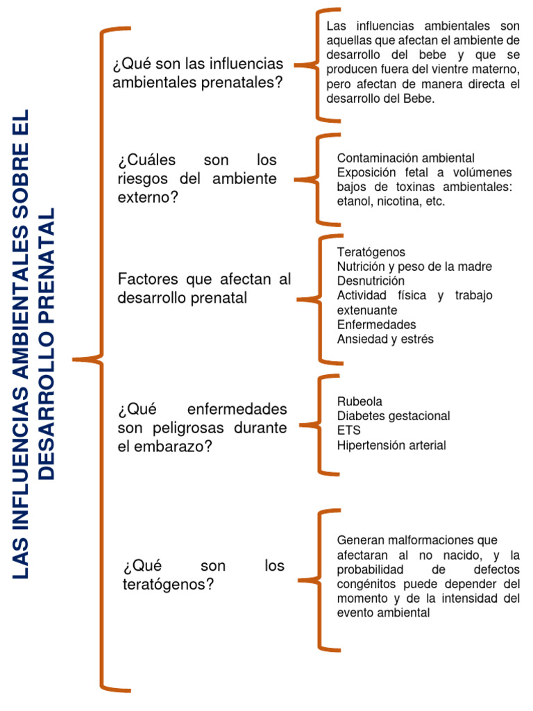 Tema (Las Influencias Ambientaes Sobre El Desarrollo Prenatal) | PDF ... Tema (Las Influencias Ambientaes Sobre El Desarrollo Prenatal) | PDF ...