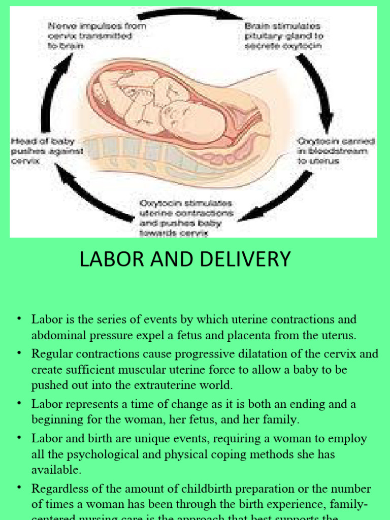 Labor and Delivery Complete | PDF | Childbirth | Caesarean Section