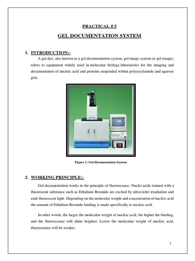 Gel Documentation System | PDF | Gel Electrophoresis | Fluorescence