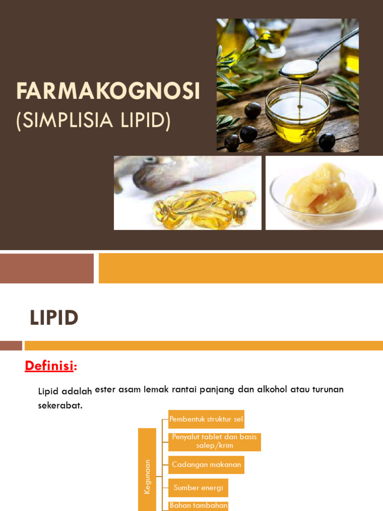 Simplisia Yang Mengandung Lipid | PDF