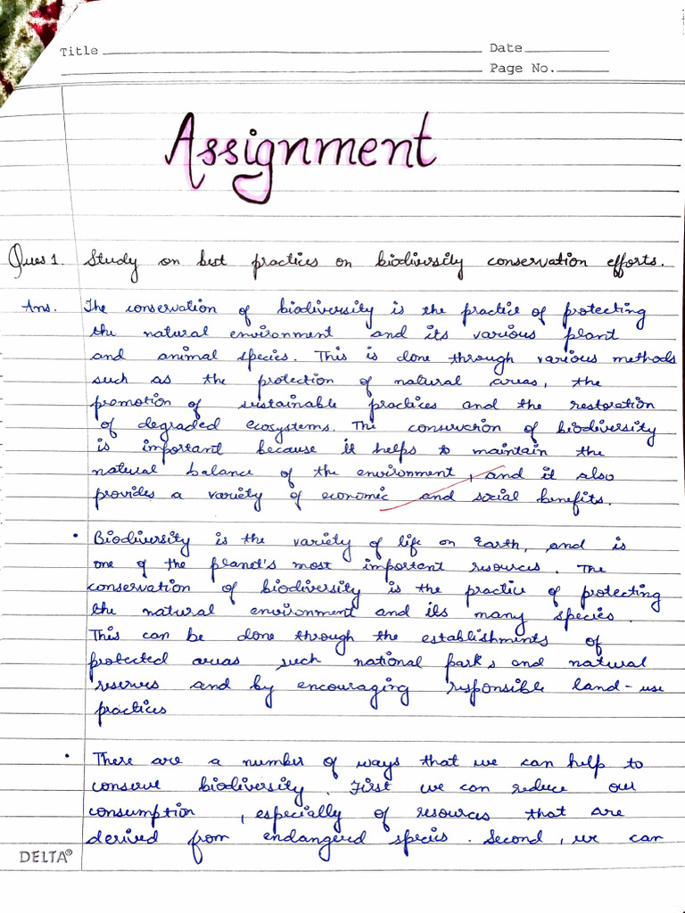 Ge Assignment | PDF