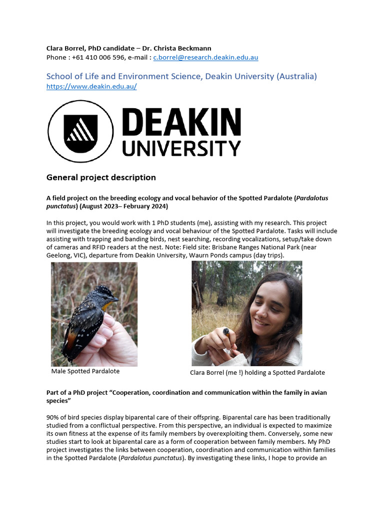 Borrel Clara Spotted Pardalote Volunteers Deakin | PDF | Birds | Ecology