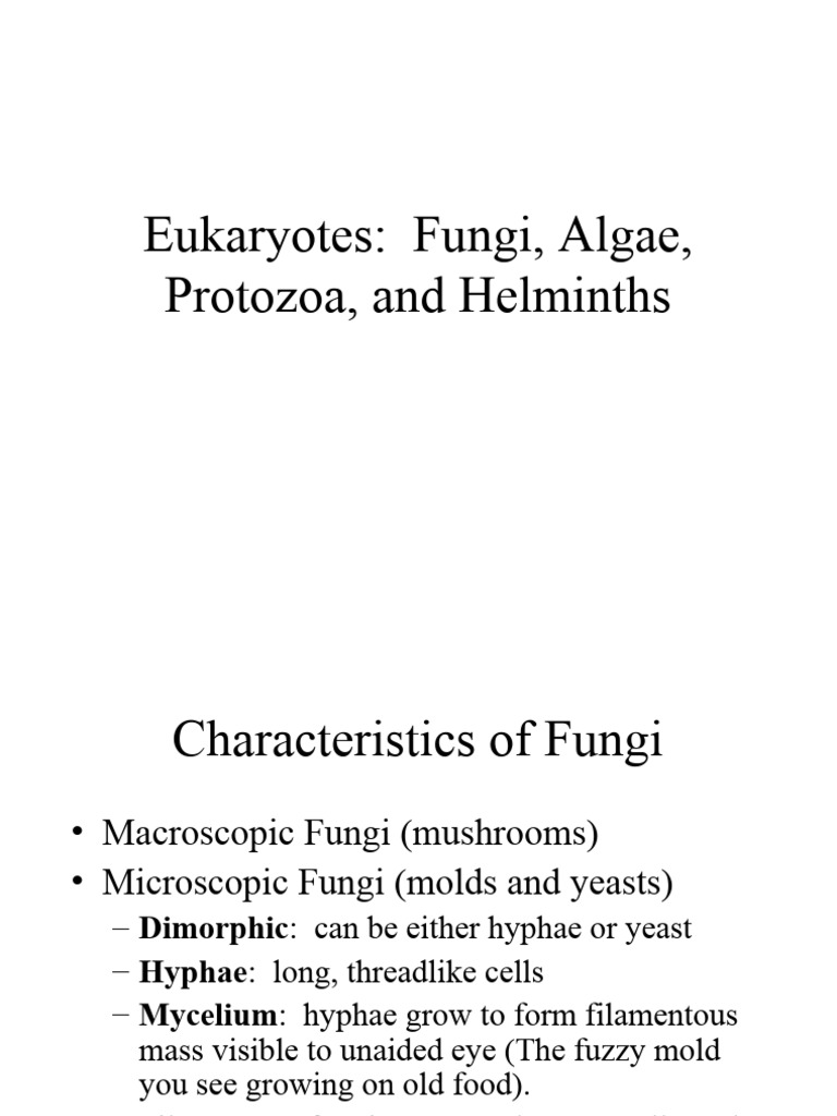 Eukaryotic Diseases - 06 | PDF | Fungus | Infection