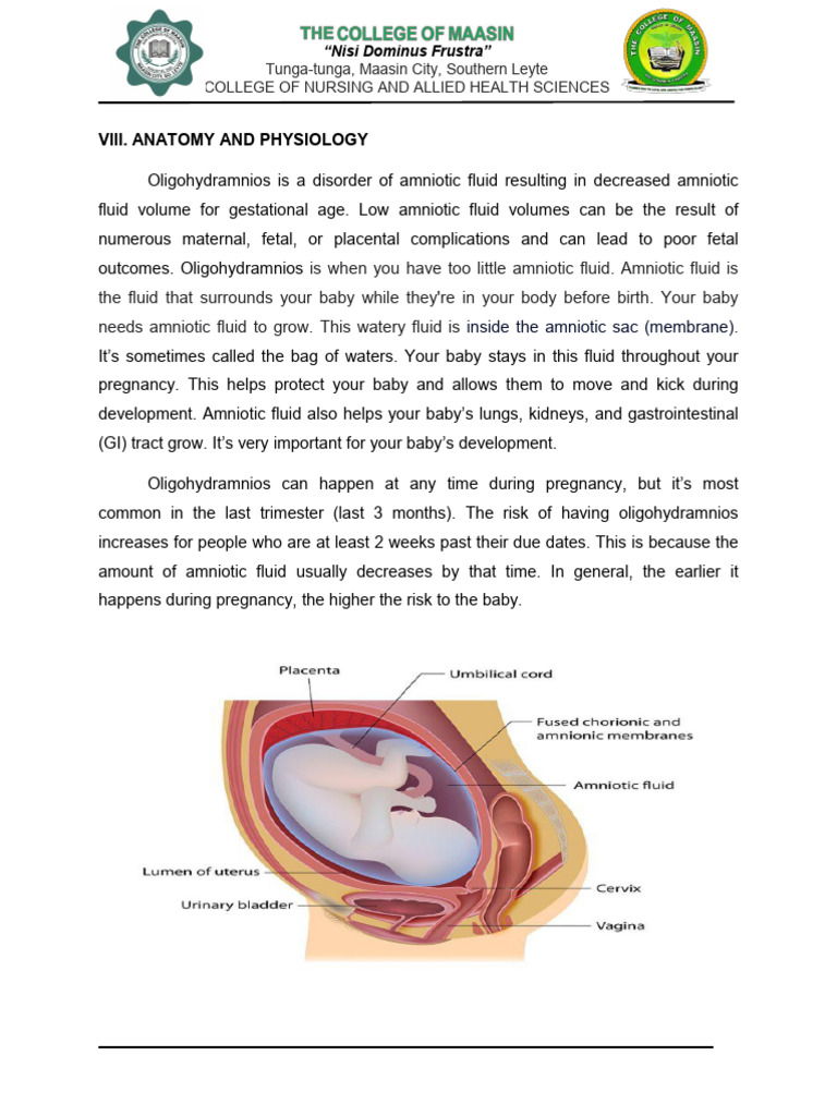 ANATOMY and PHYSIOLOGY | PDF | Fetus | Medical Specialties