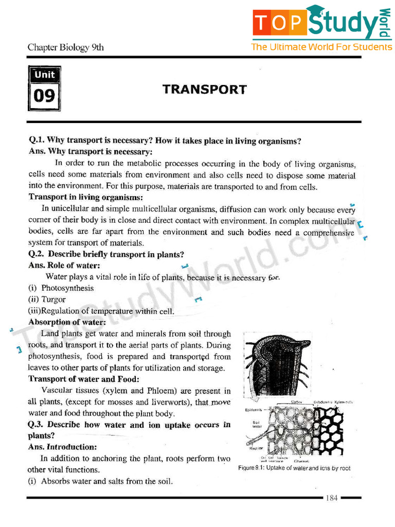 Chapter 9 Transport | PDF