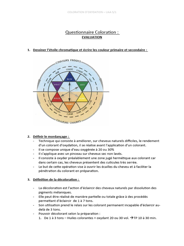 Questionnaire Coloration EVALUATION | PDF