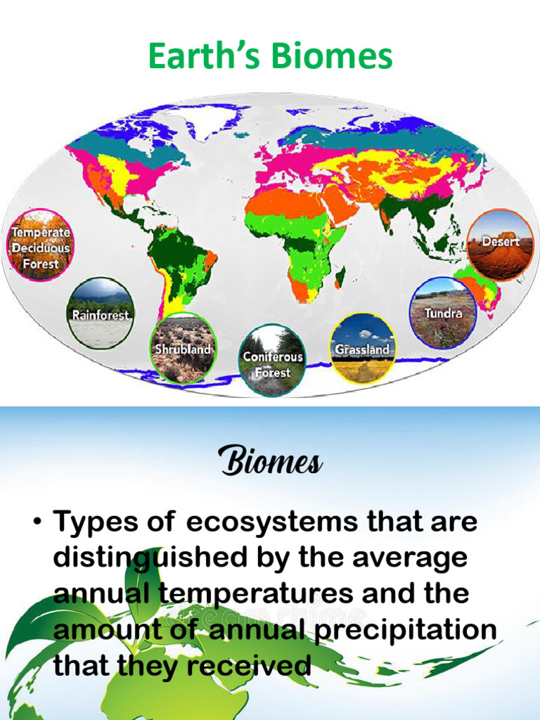Lesson 7 Biomes | PDF