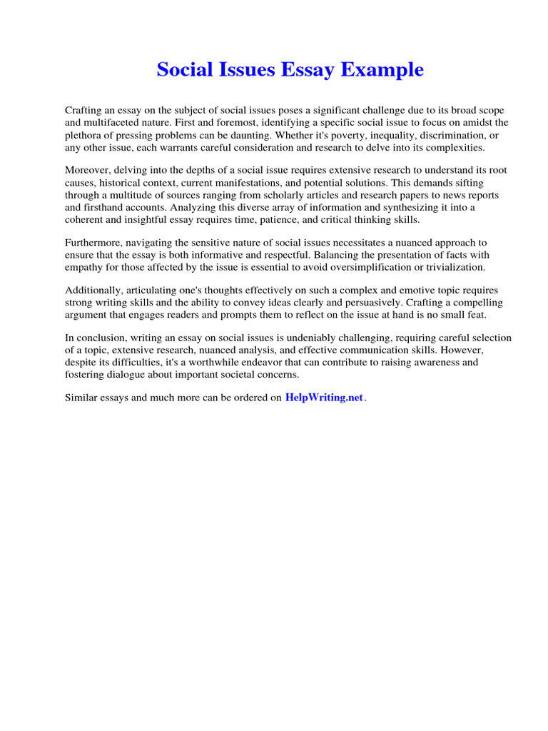 Social Issues Essay Example | PDF