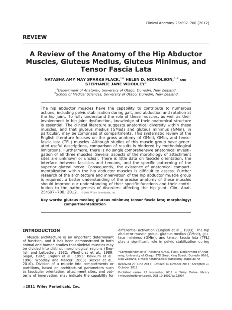 2011 A Review of The Anatomy of The Hip Abductor Muscles, Gluteus | PDF