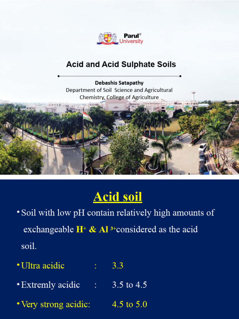 On Acid and Acid Sulphate Soils | PDF | Home & Garden | Science ...