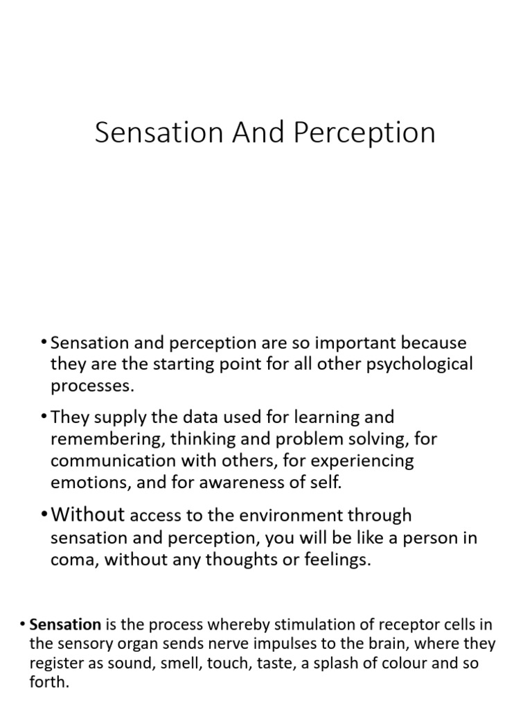 3 Sensation and Perception | PDF