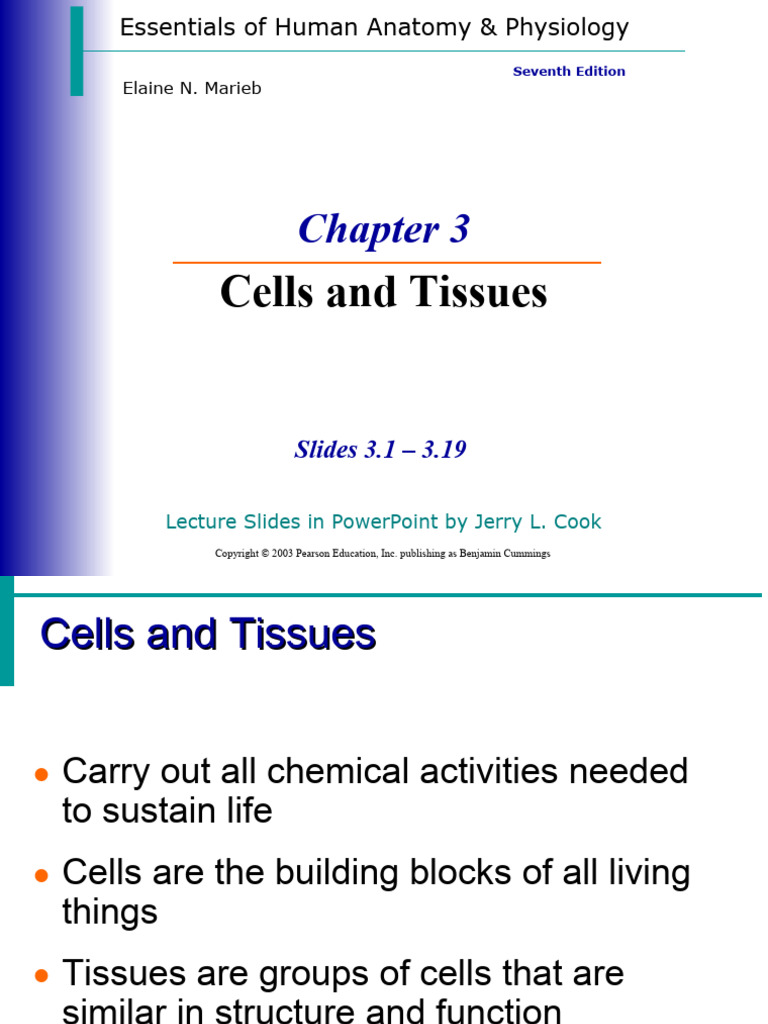 Cells and Tissues Marieb 7 1 | PDF