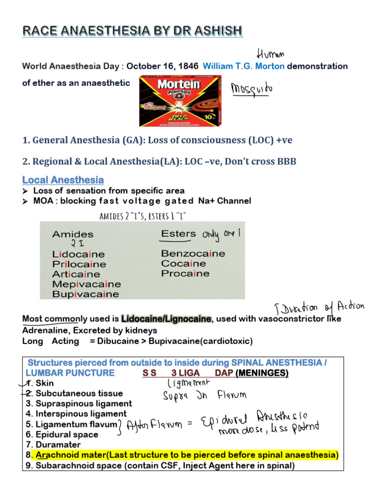 Anesthesia 2024 | Download Free PDF | Anesthesia | Physiology