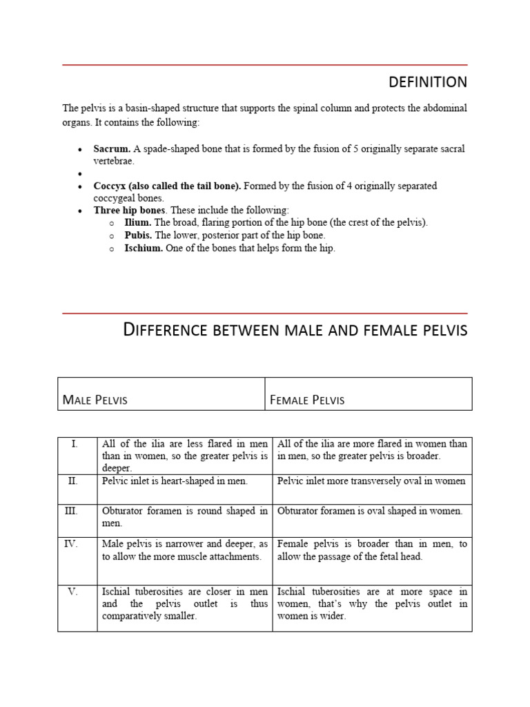 Pelvis Pdf