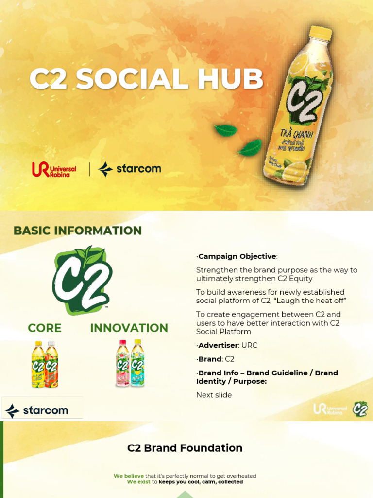 C2 Social Hub Campaign Strategy | PDF | Social Science