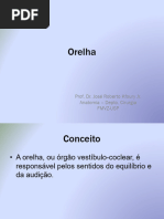 HINTS para Diagnóstico de Vertigem | PDF | Vertigem | Sistema vestibular