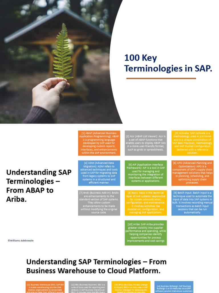 100 Key Terminologies in SAP | PDF | Enterprise Resource Planning | Cloud Computing