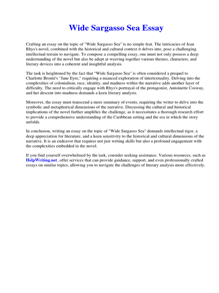 Wide Sargasso Sea Essay | PDF | Adolescence