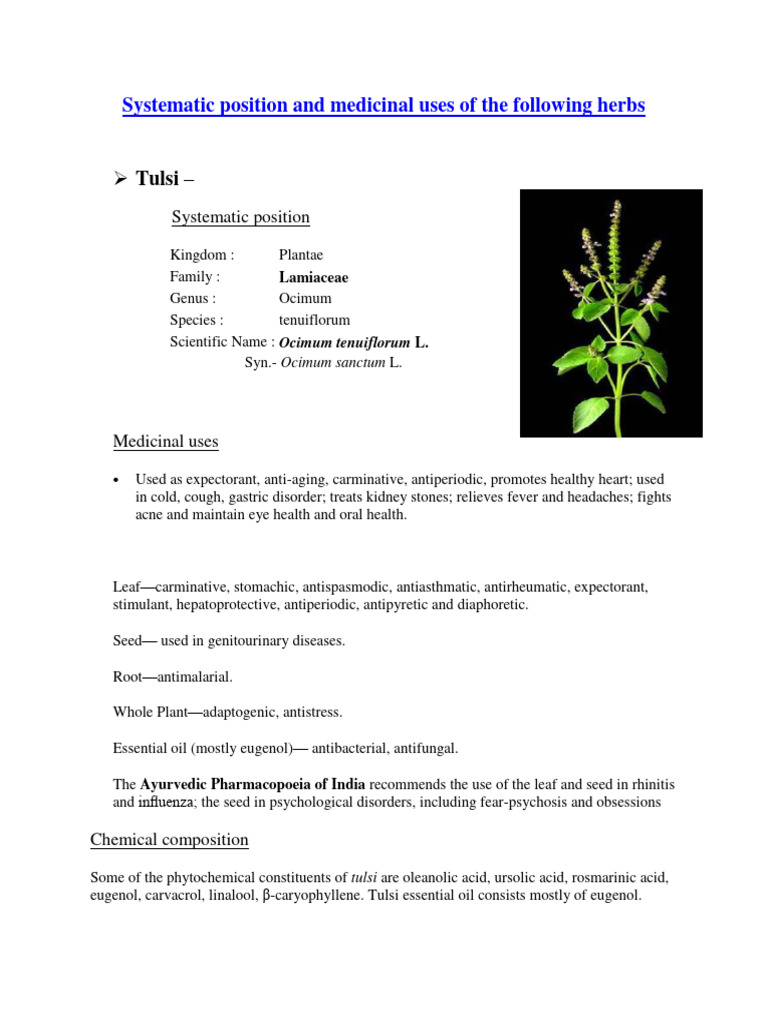 Tulsi: Systematic Position & Uses | PDF | Clinical Medicine | Medical ...