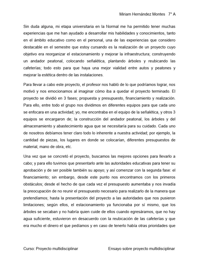Ensayo Proyecto Multidisciplinar | PDF