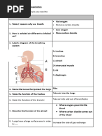 Worksheet Grade 8 Gas Exchange | PDF | Lung | Respiratory System