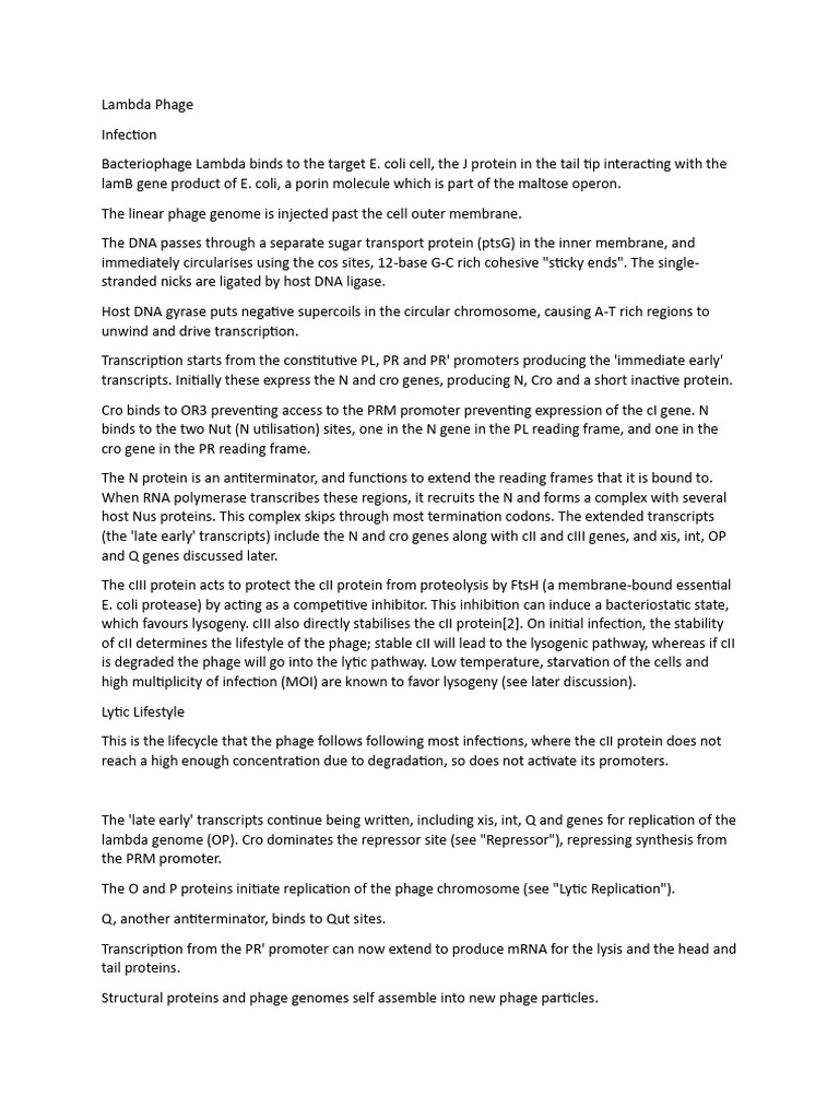 Lambda Phage | PDF | Foreign Language Studies | Wellness