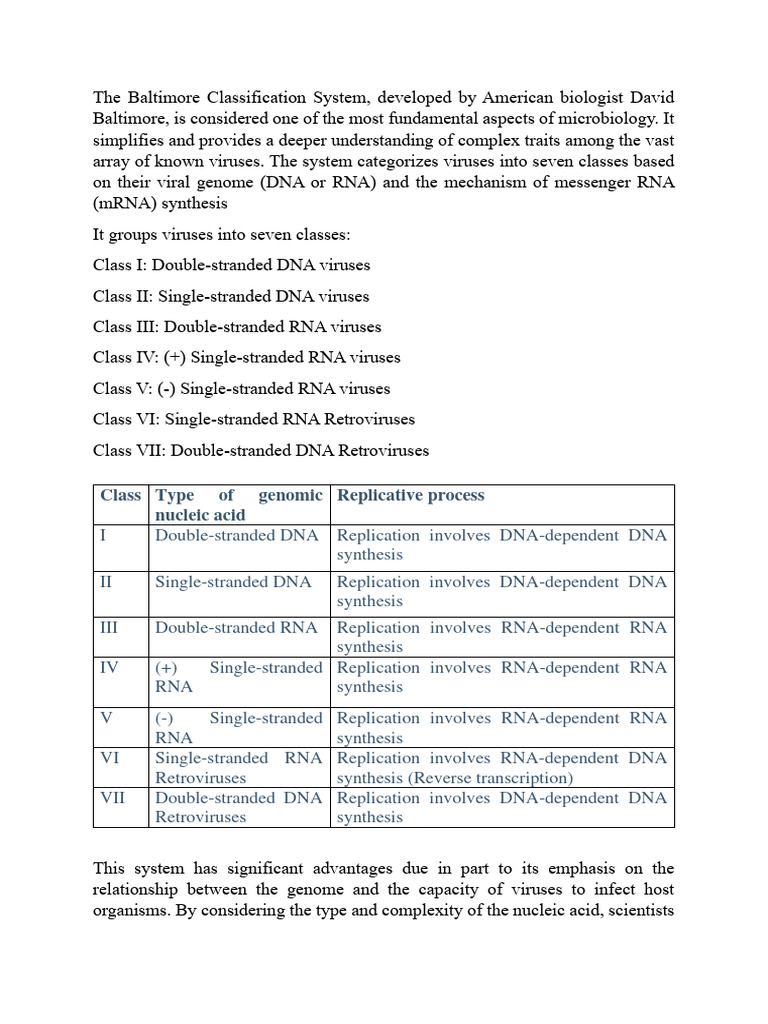 The Baltimore Classification System | PDF