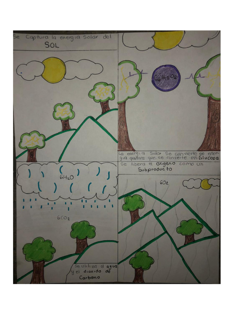 Equipo 6 - EV2 - LNV - Removed | PDF | Ciencia y matemáticas