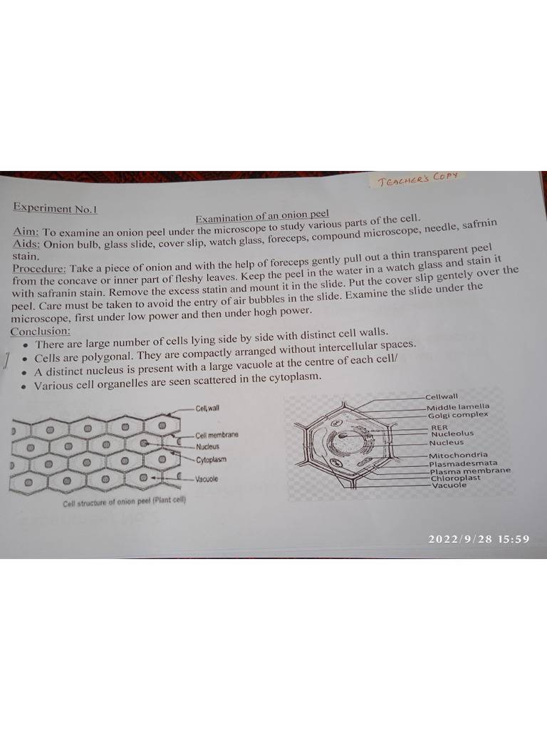 Biology Record | PDF