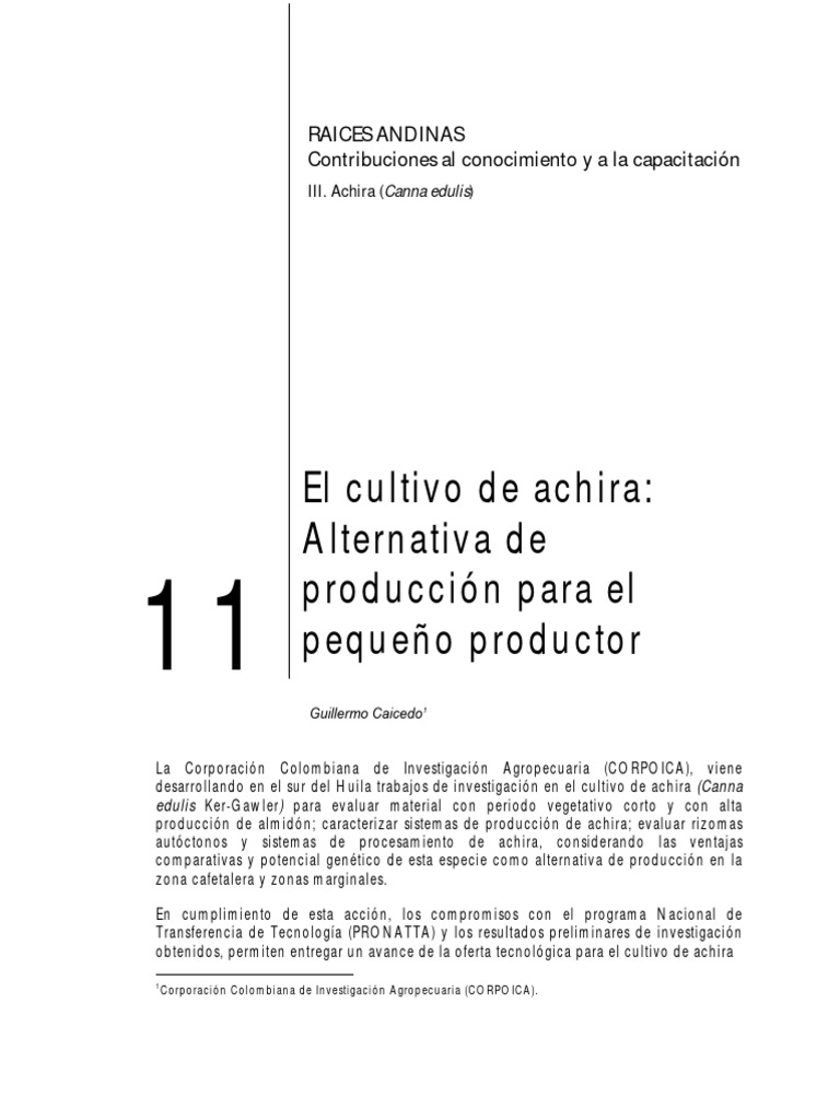 El Cultivo Achira Alternativa Produccion | PDF | Siembra | Horticultura