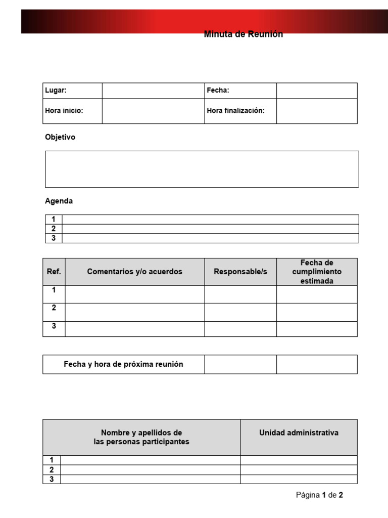 Formato de Minuta de Reunión | PDF