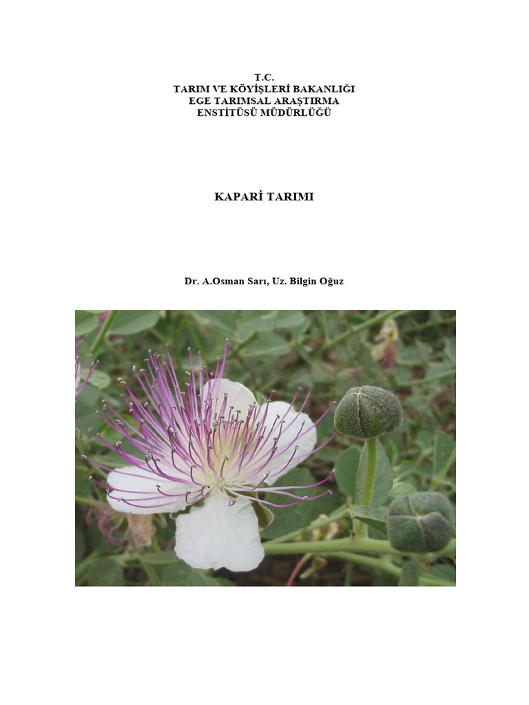 Kapari Tarımı | PDF