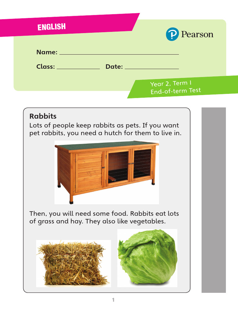Ip PT Ip English Y2 T1eot2020 | PDF
