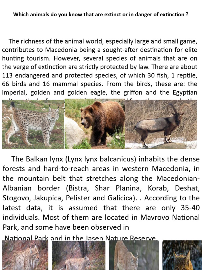 Which Animals Do You Know That Are Extinct | PDF
