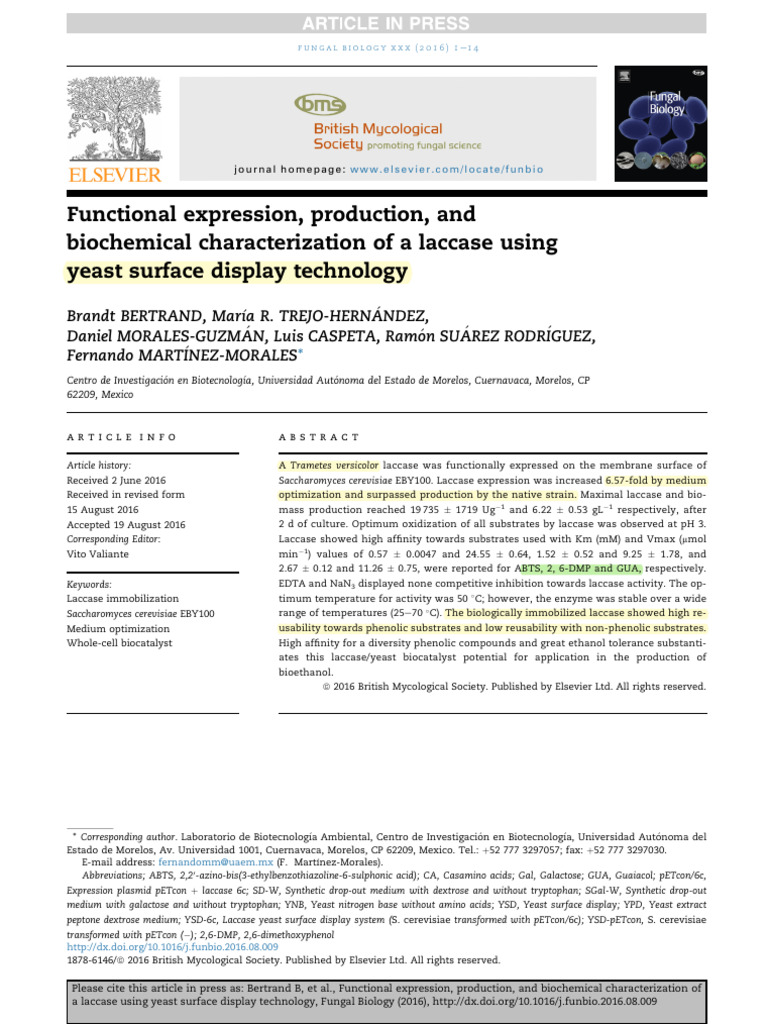 Bertrand, 2016. Surface yeast | PDF | Yeast | Molecular Cloning