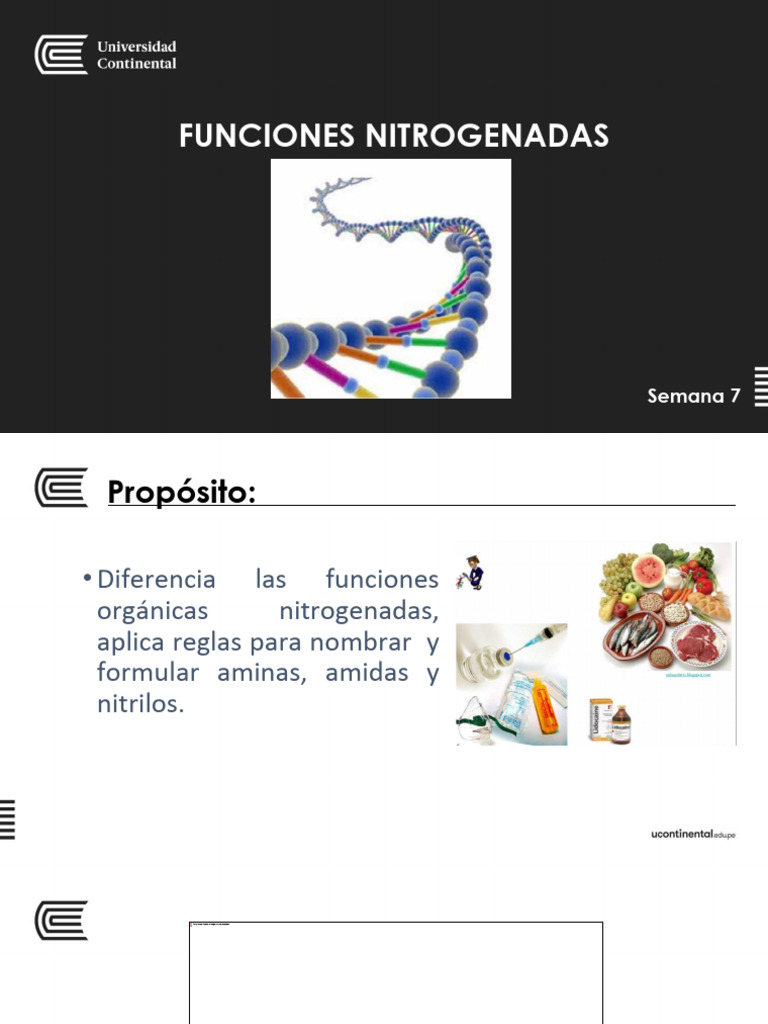 Clase 5 Julio SEMANA #7 FUNCIONES NITROGENADAS | PDF | Amida | Amina