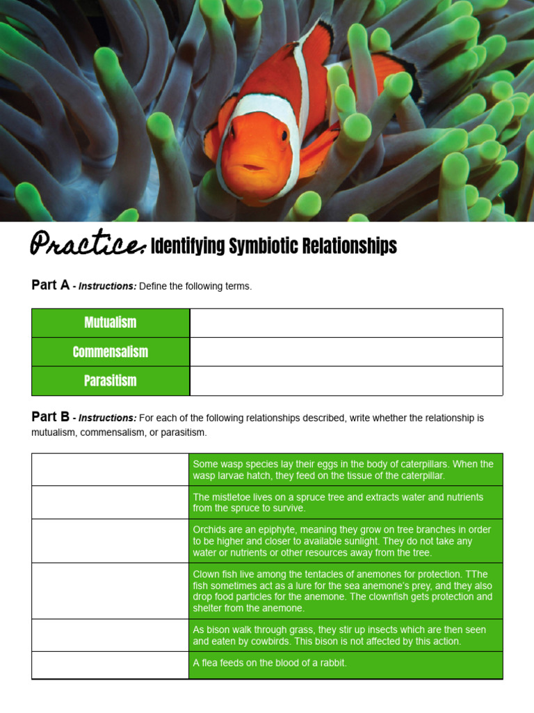 Identifying Symbiotic Relationships | PDF | Home & Garden | Science ...