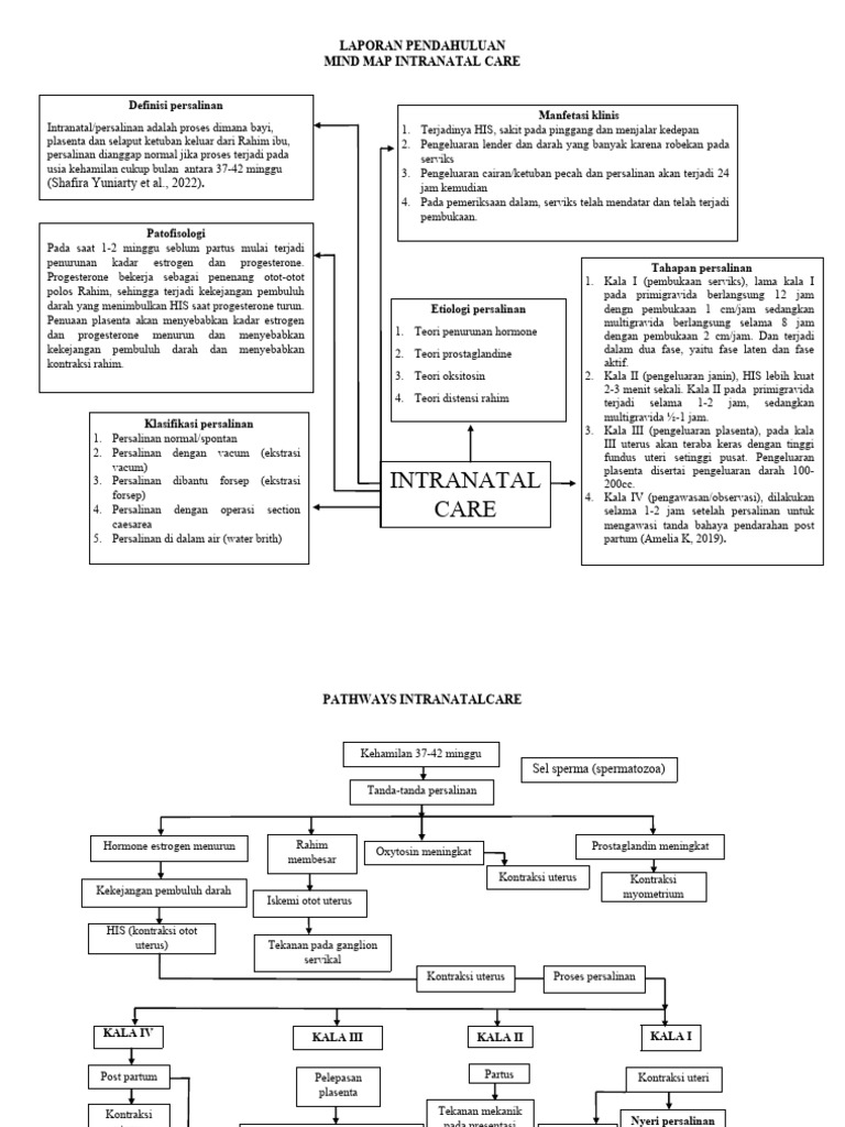 Laporan Askep Intranatal | PDF