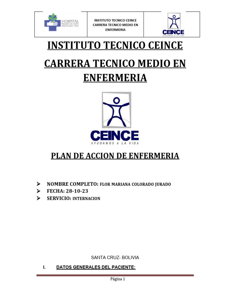 Ejemplo de Pae (Plan de Accion en Enfermeria) | PDF | Dieta | Diarrea