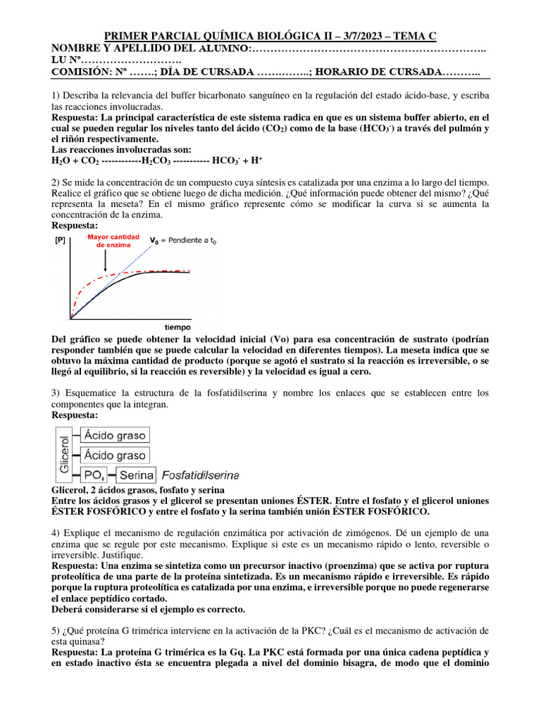 2023 - P1 - TEMA C Respuestas | PDF | Trifosfato de adenosina | Enzima