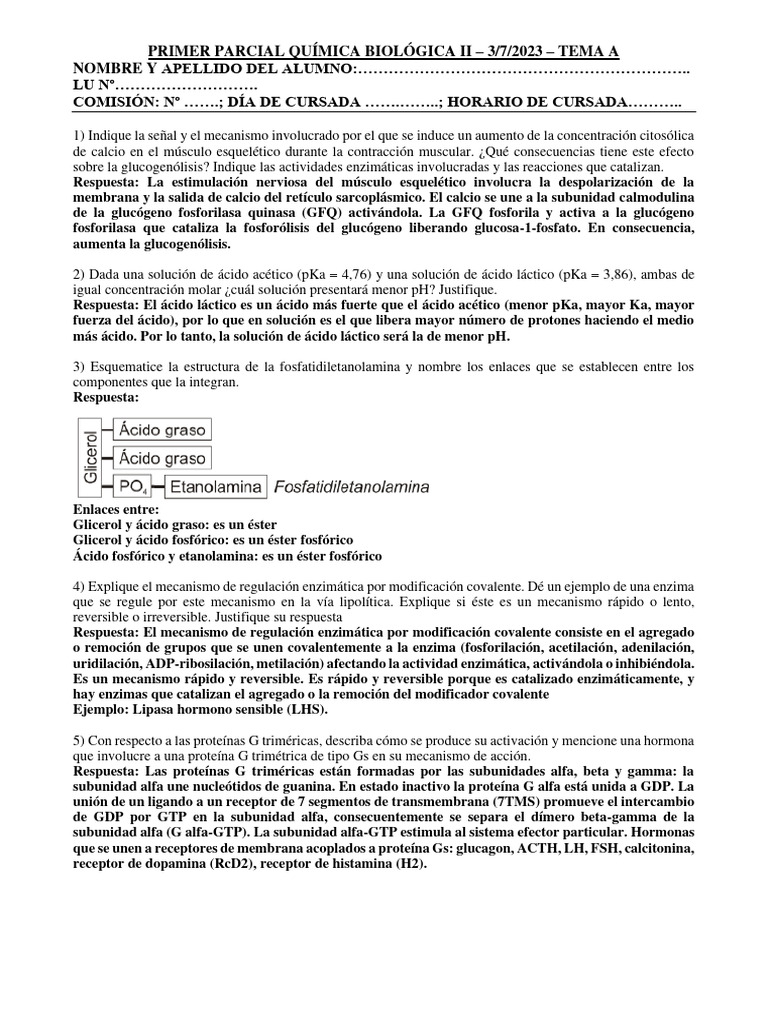 2023 - P1 - TEMA A Respuestas | PDF | Trifosfato de adenosina | Inhibidor de la enzima
