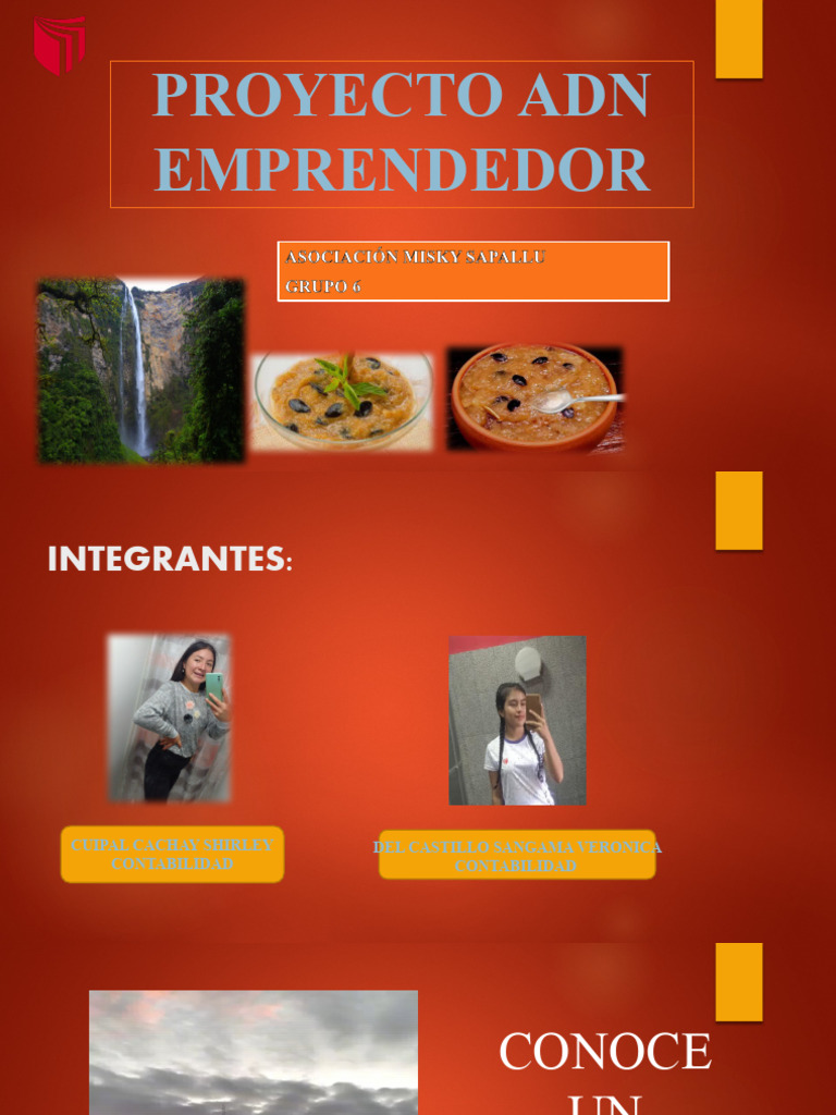 Proyecto Adn Grupo 6 | PDF | Iniciativa empresarial | Marketing
