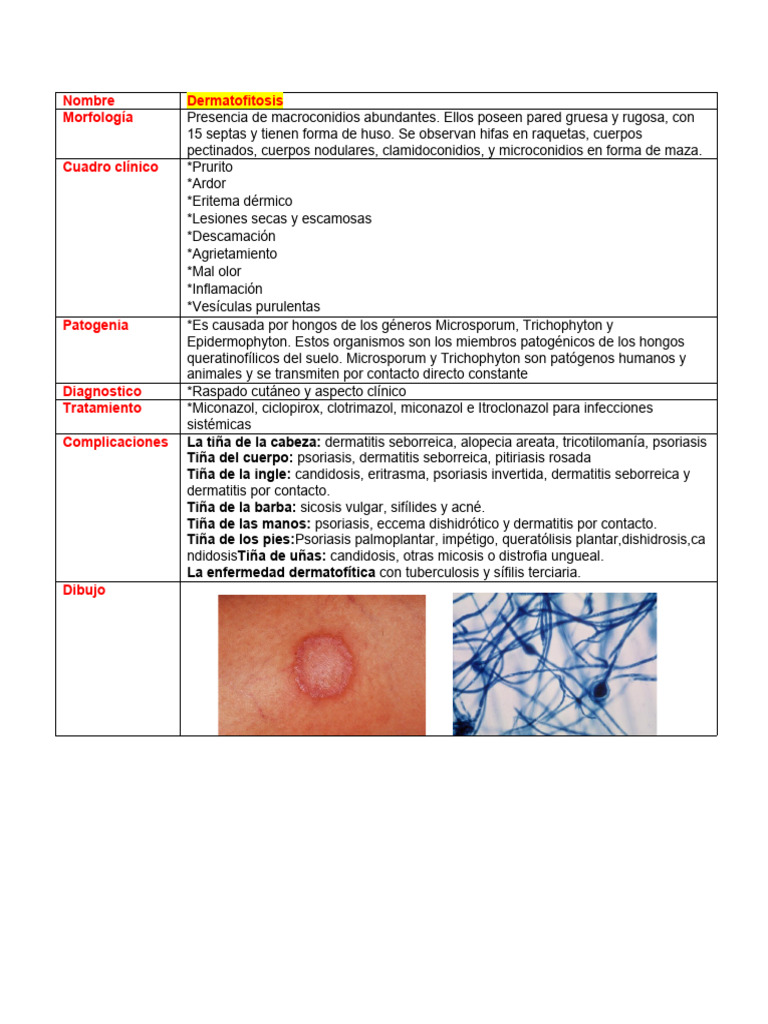 Compendio de Hongos Final | PDF | Medicina CLINICA | Especialidades Medicas