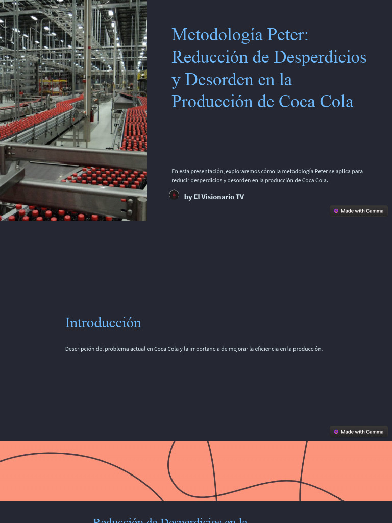 Metodología Peter: Reducción de Desperdicios y Desorden en La ...