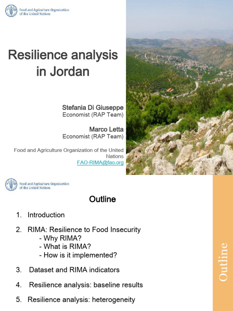 Resilience Analysis in Jordan: Stefania Di Giuseppe Marco Letta | PDF ...