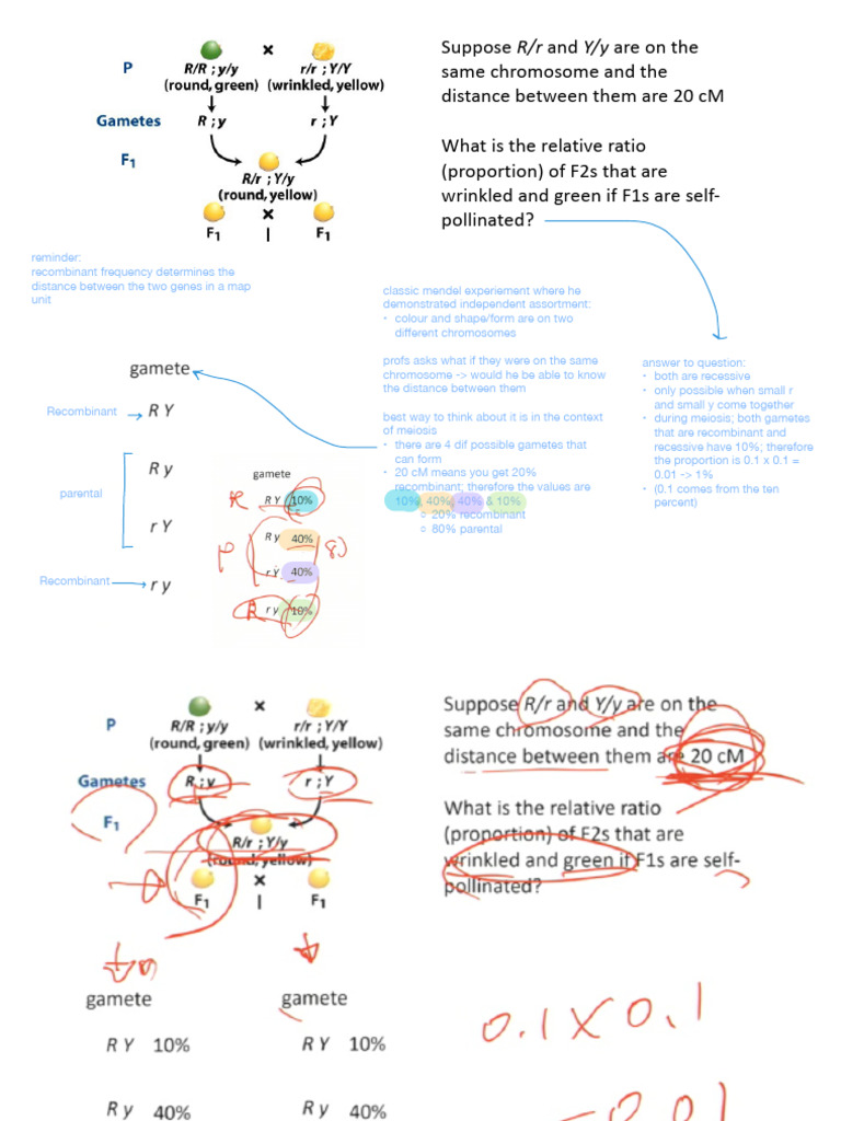 6 Molecular Markers | PDF | Single Nucleotide Polymorphism | Gene